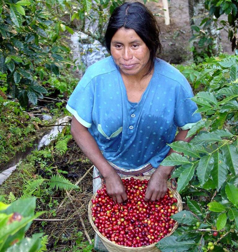 What Is Single Origin Coffee and Why Is It Better?